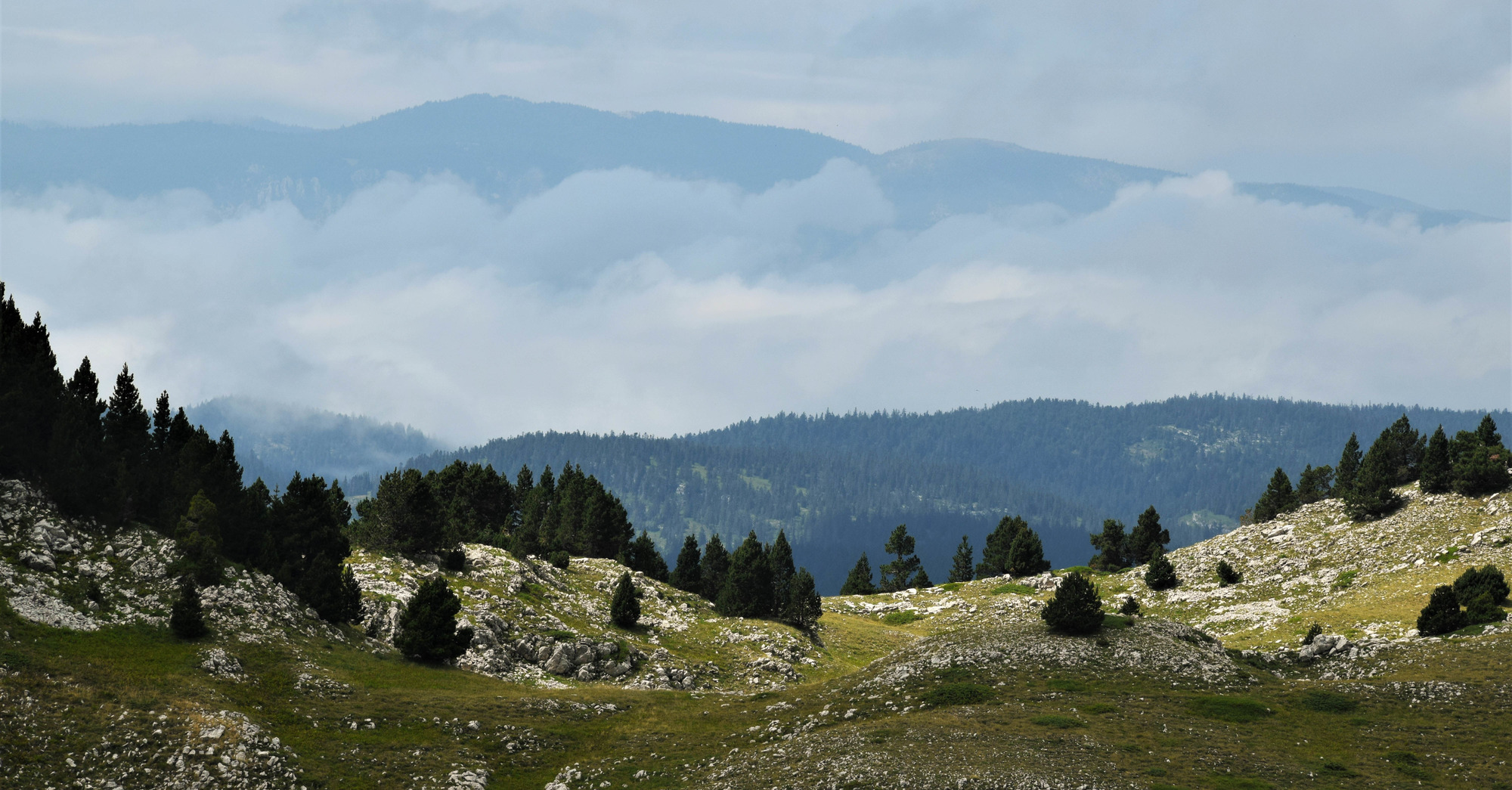 Les Hauts Plateaux du Vercors